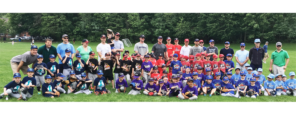 Wellesley Youth Baseball and Softball > Home